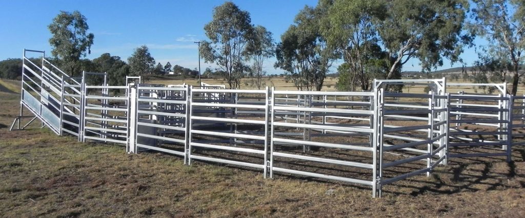 Cattle Steel Fencing – Desert Knowledge CRC